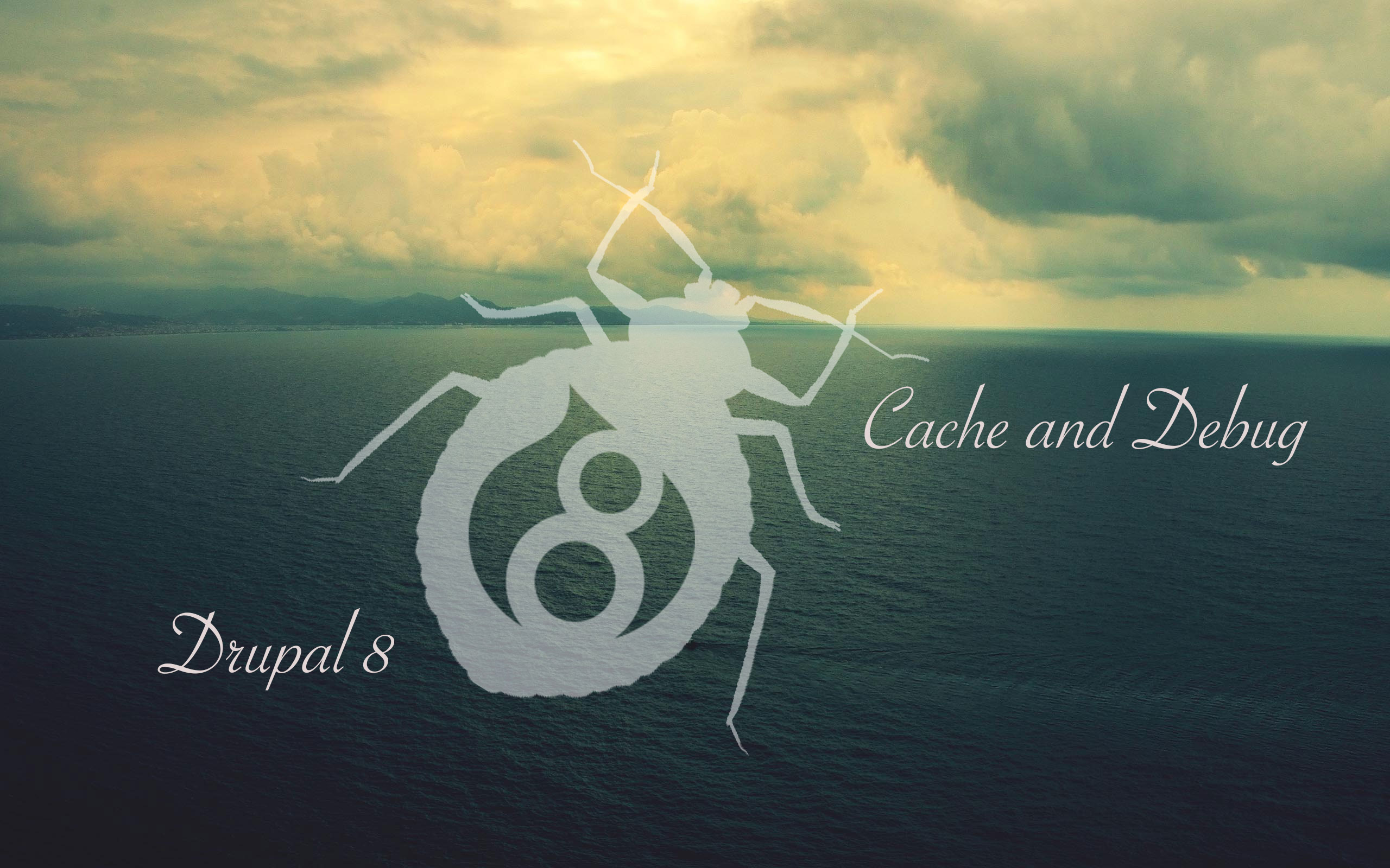 Drupal 8 | Enter in debug mode and disable cache * Choosepizzi.net Drupal 8 | Enter in debug mode and disable cache * Choosepizzi.net