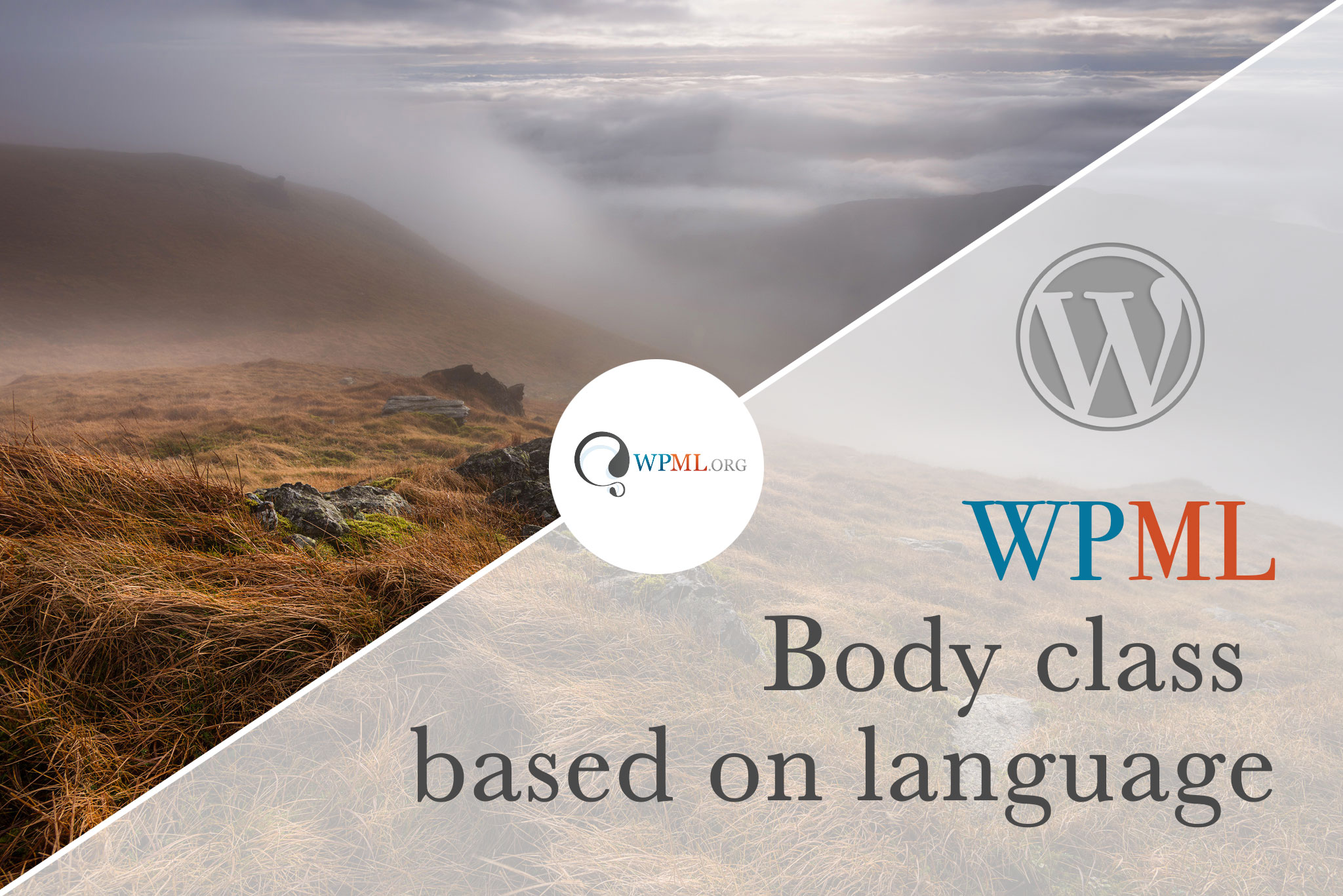 Wordpress | WPML Body class or data-atribute based on language * Choosepizzi.net