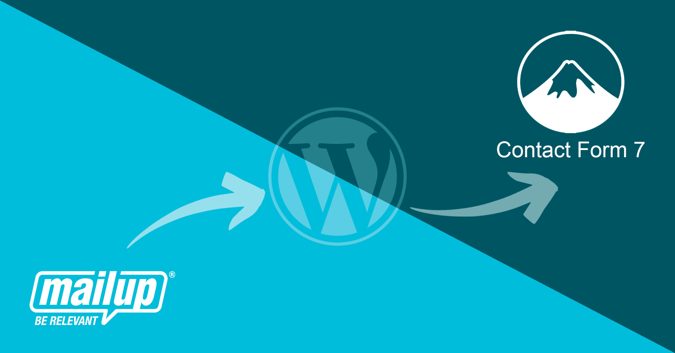Wordpress | Add checkbox for mailUp subscription in Contact Form 7 ... Wordpress | Add checkbox for mailUp subscription in Contact Form 7 ...